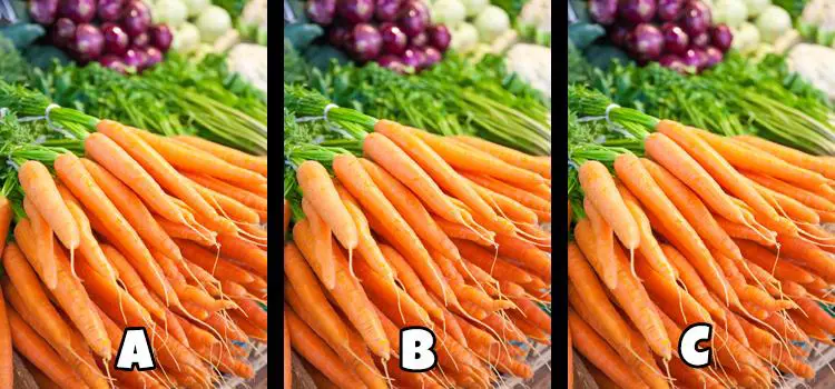 Ultimate Spot The Difference Quiz Answers My Neobux Portal ultimate-spot-the-difference-quiz-answers-my-neobux-portal